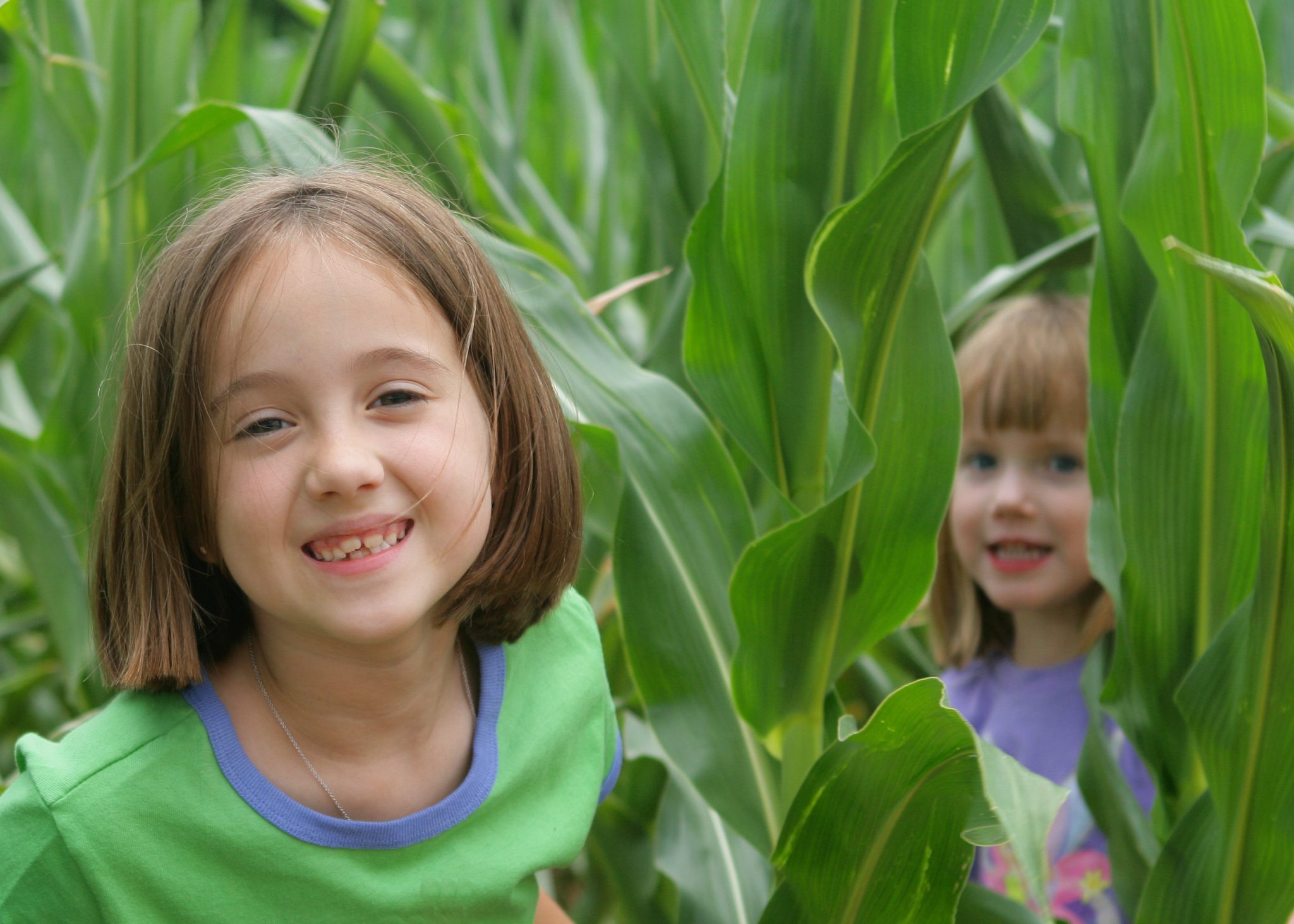 What is infant and child mental health? - Emerging Minds