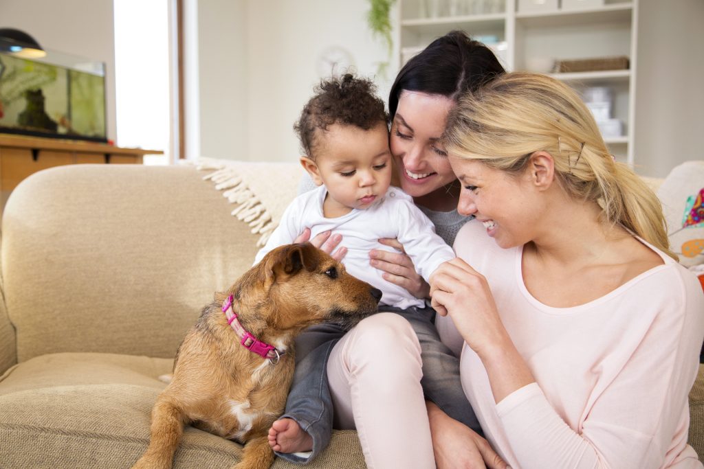 In focus: Parent-child relationships - Emerging Minds