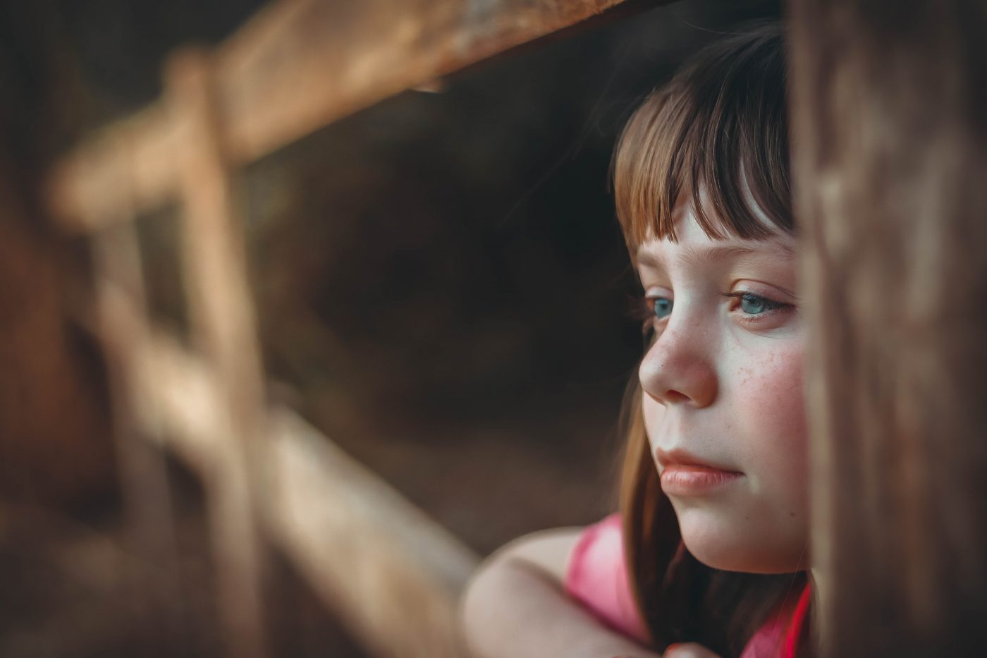 In focus: Family and domestic violence and children - Emerging Minds