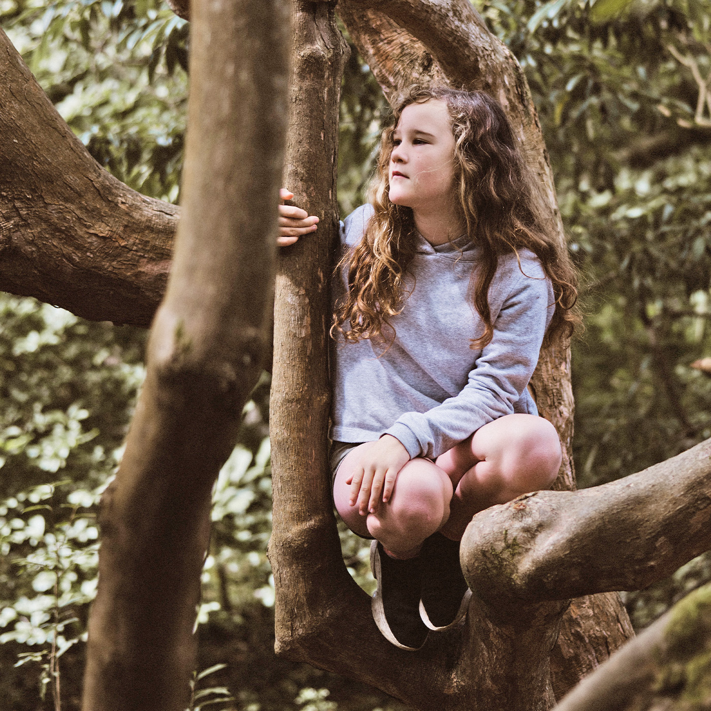 Resources - Emerging Minds