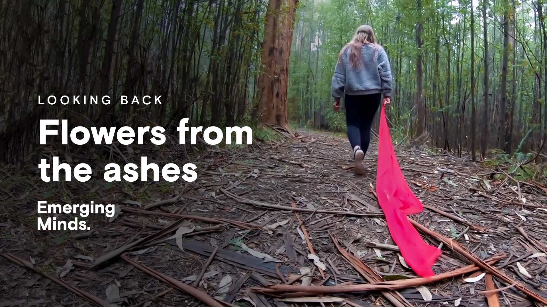 Looking Back series - Emerging Minds