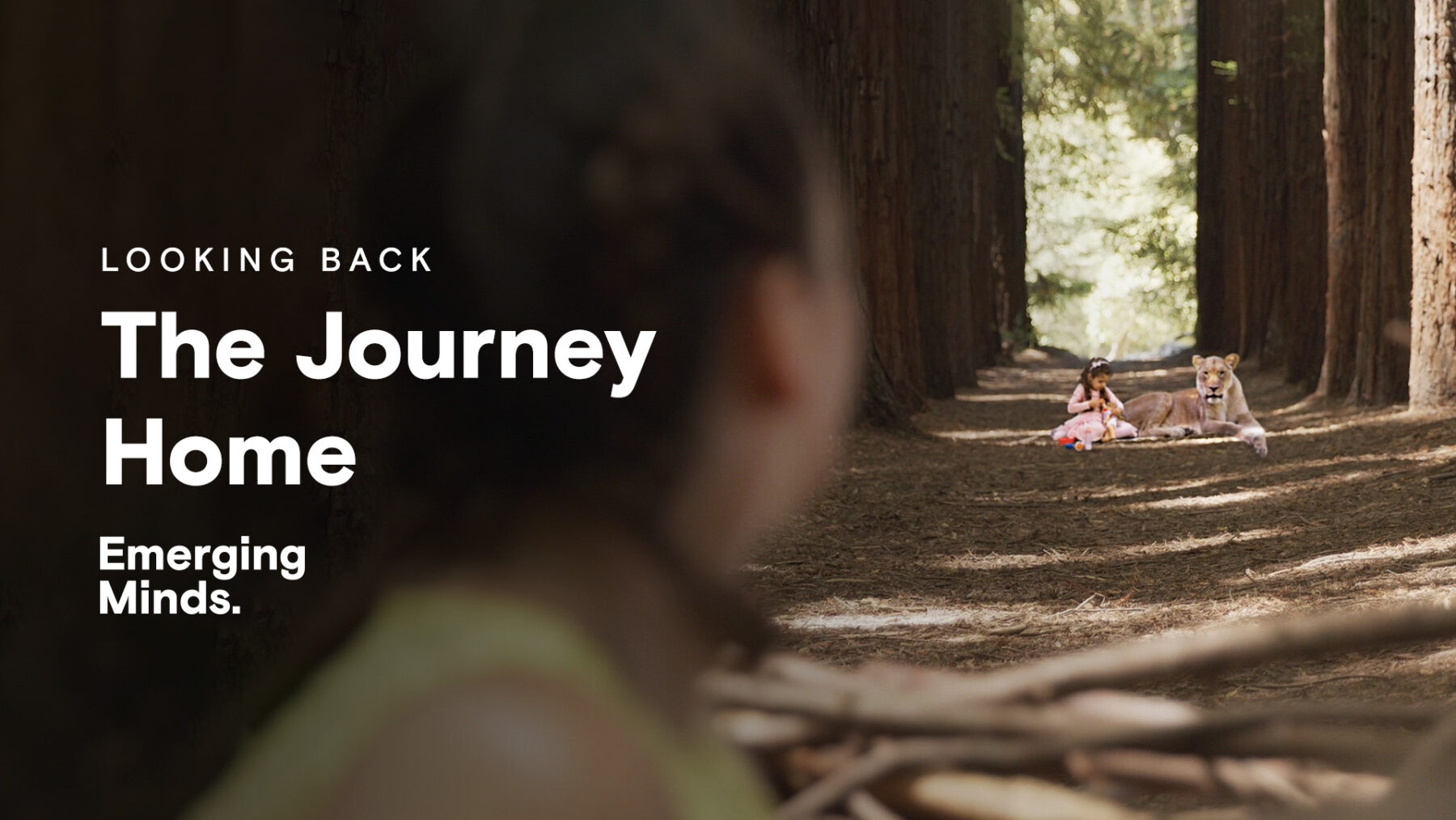 Looking Back series - Emerging Minds