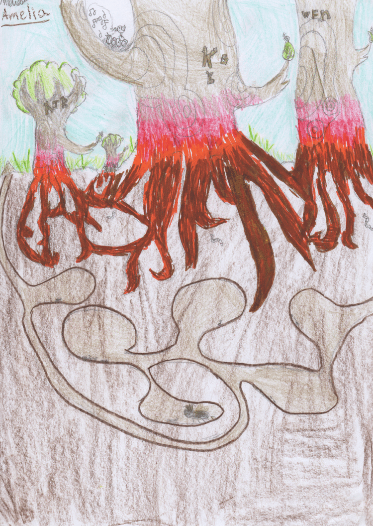 Feeling connection and belonging outside our families - Emerging Minds