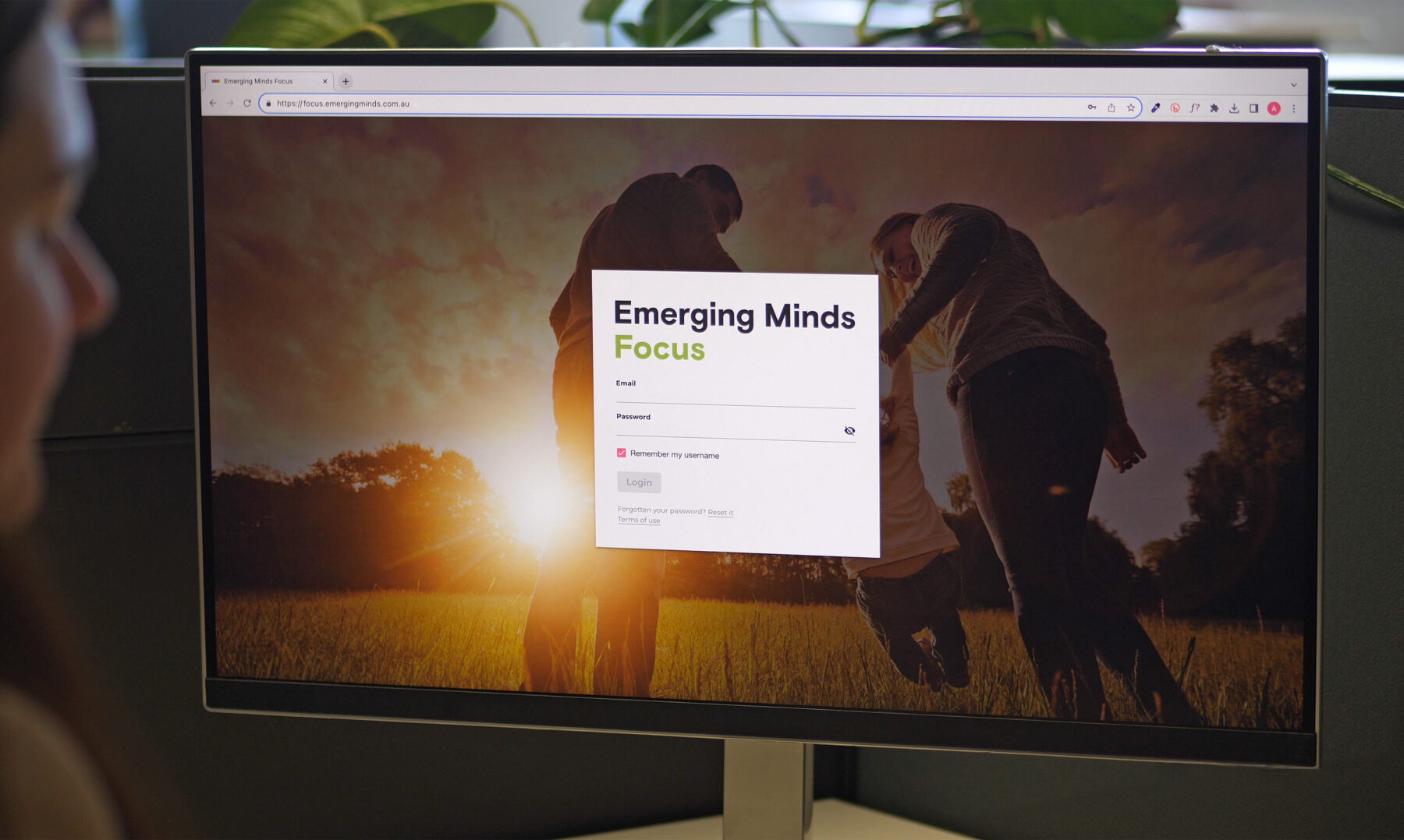 An overview of Emerging Minds Focus - Emerging Minds